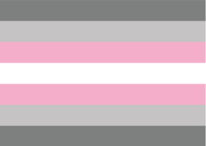 Pride Flaggenlexikon – CSD Sachsen-Anhalt