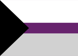Pride Flaggenlexikon – CSD Sachsen-Anhalt